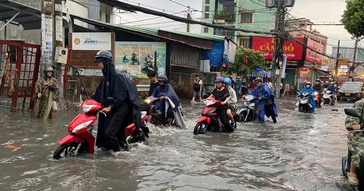 Các vấn đề dân sinh nóng bỏng tại TP Hồ Chí Minh được cử tri phản ánh